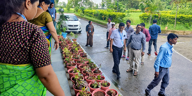 Xavier Institute of Polytechnic and Technology
